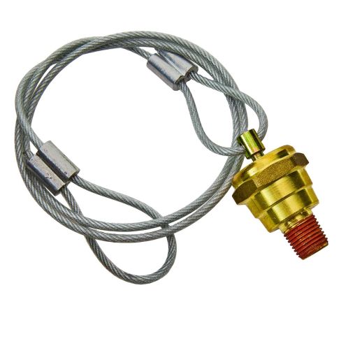 2034669C91 | Drain Plug | Fleetsworld