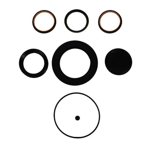 RHS 5544871 | Steering Gear Sector Shaft Seal Kit | Fleetsworld