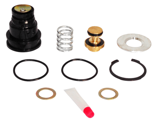R950014 | Purge Valve Kit (SS1200, SS1200P) | Fleetsworld