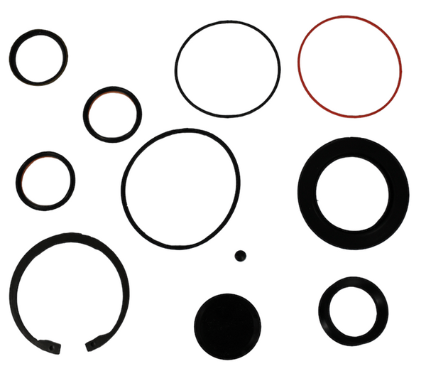 5545481 | SECTOR SHAFT SEAL KIT (M110) | Fleetsworld